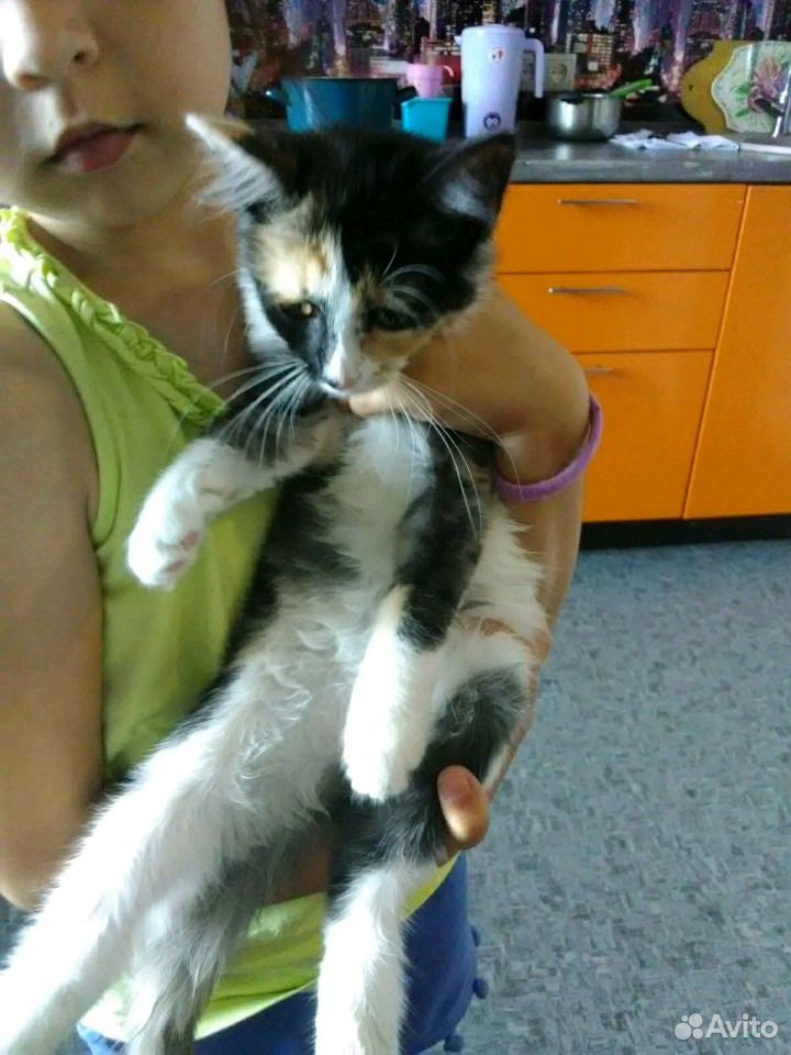 Катенок (девочка)