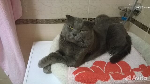 Вязка