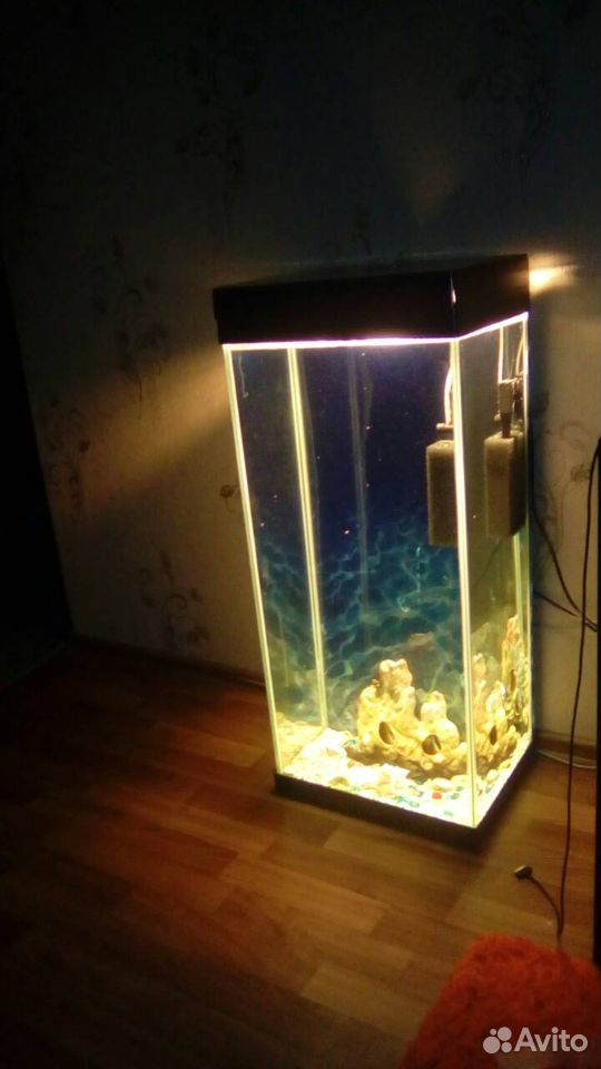 Аквариум- столбик