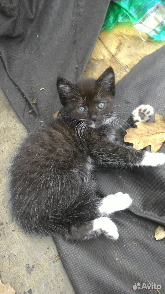 Если кажется, что уже все