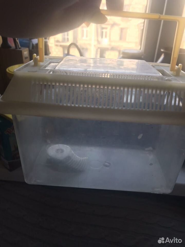 Аквариум (переноска) для черепах