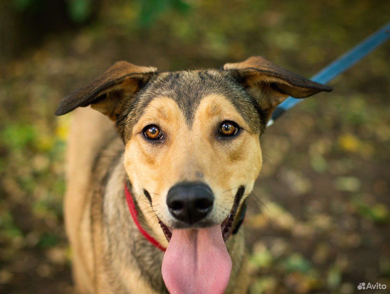 Лукерья- всегда быть в маске судьба моя