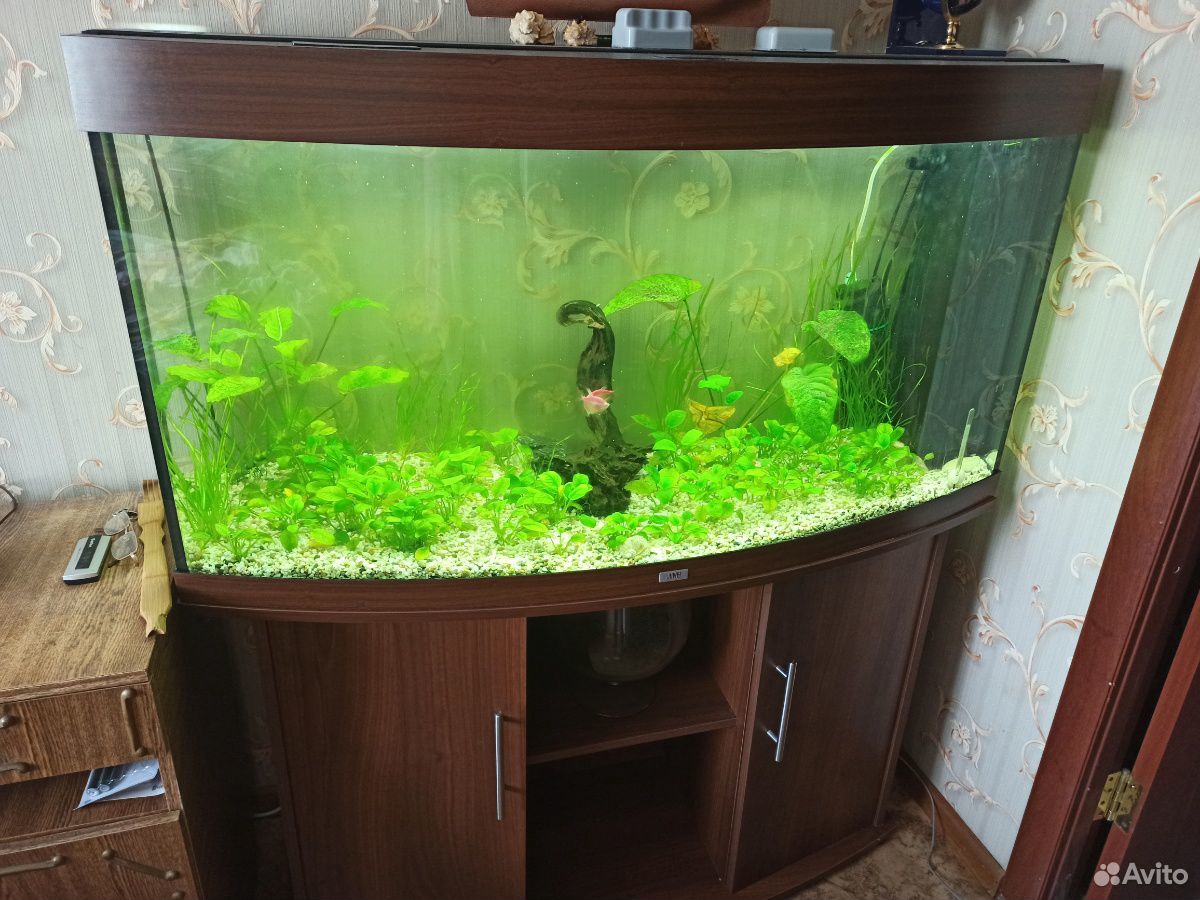 Аквариум 260л