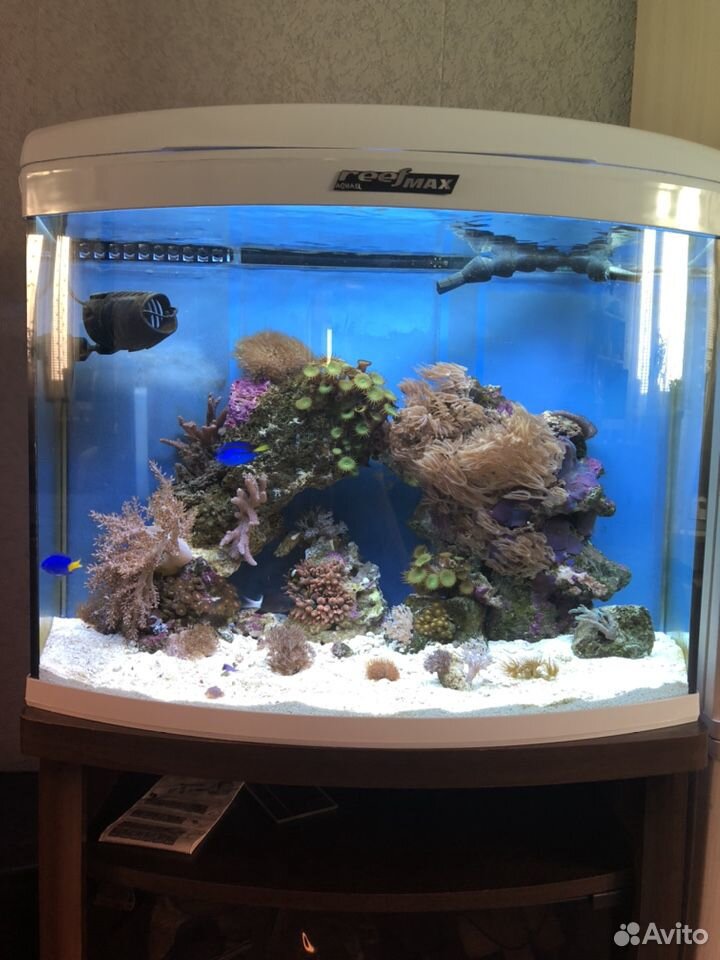 Морской аквариум