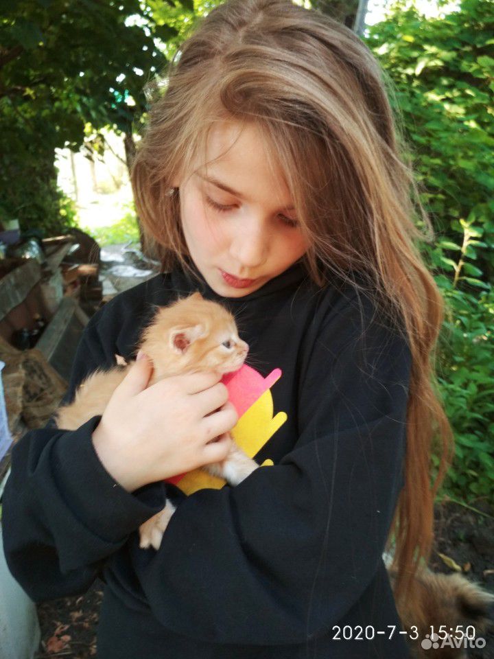 Отдам котэ 1мес