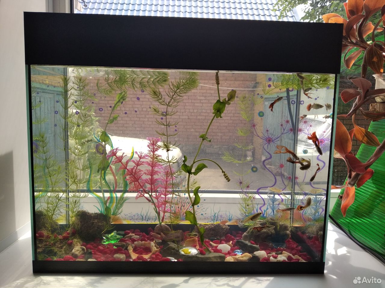Аквариум