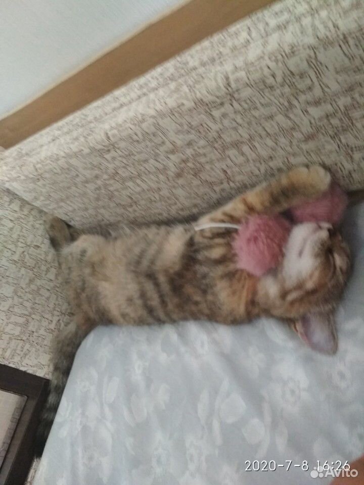 Асана дочь Круассана