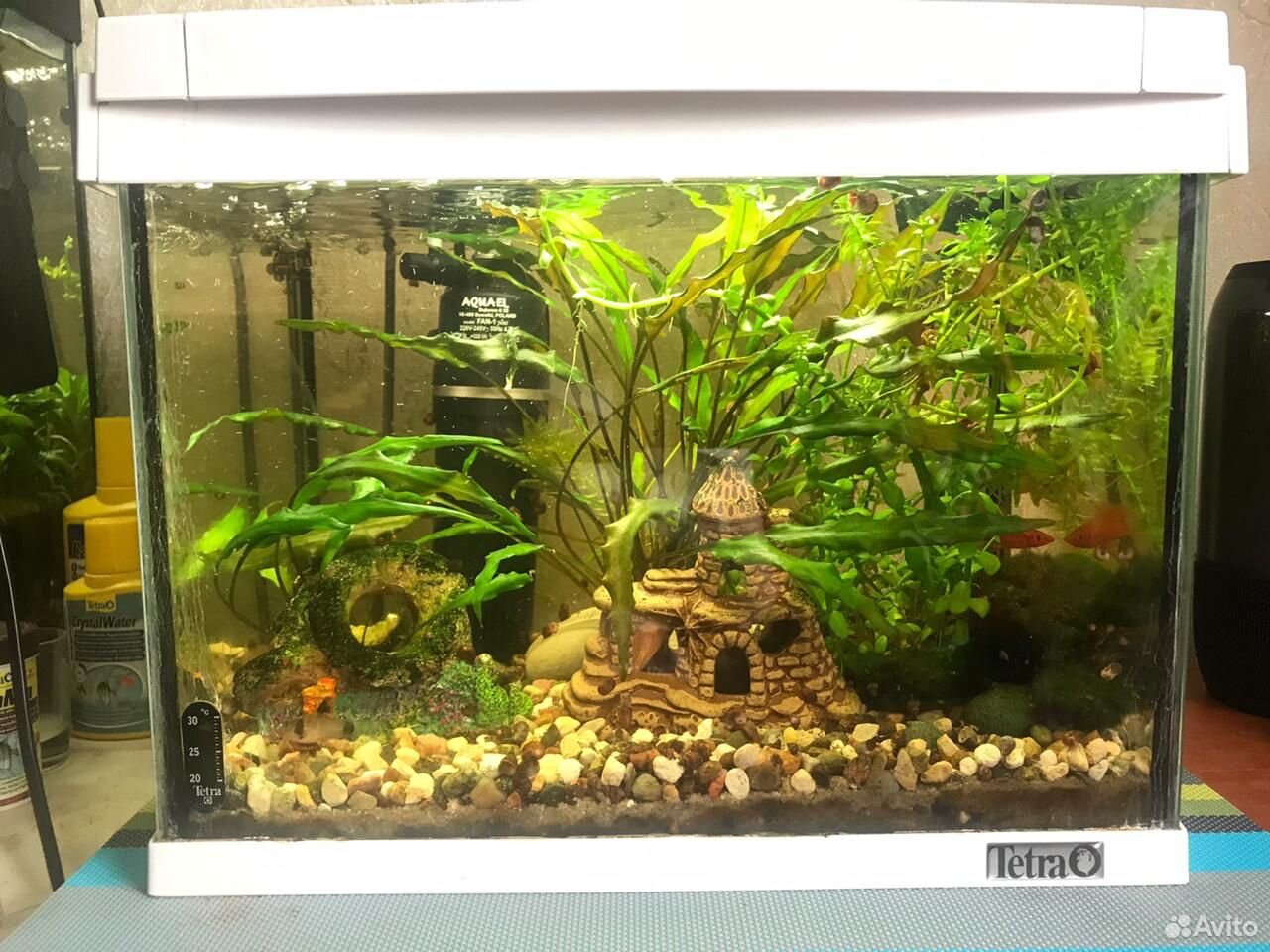 Аквариум Tetra 20 литров