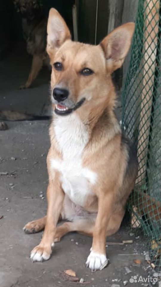 Малышка ищет семью