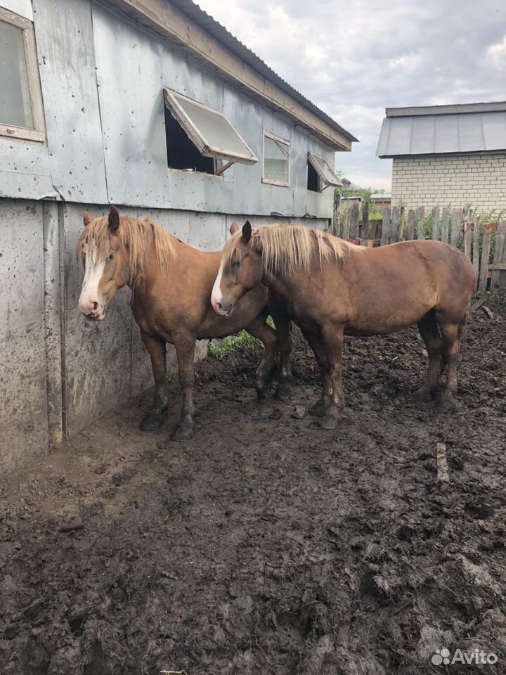 Советские тяжеловозы