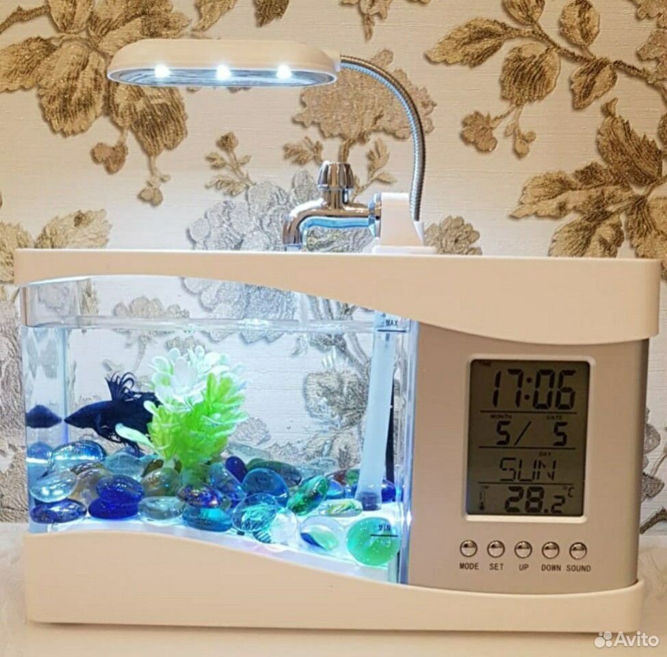 Аквариум с рыбкой