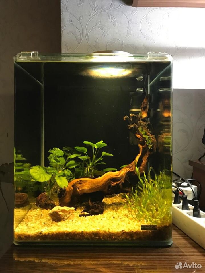 Аквариум Dennerle Nano Cube на 30 л