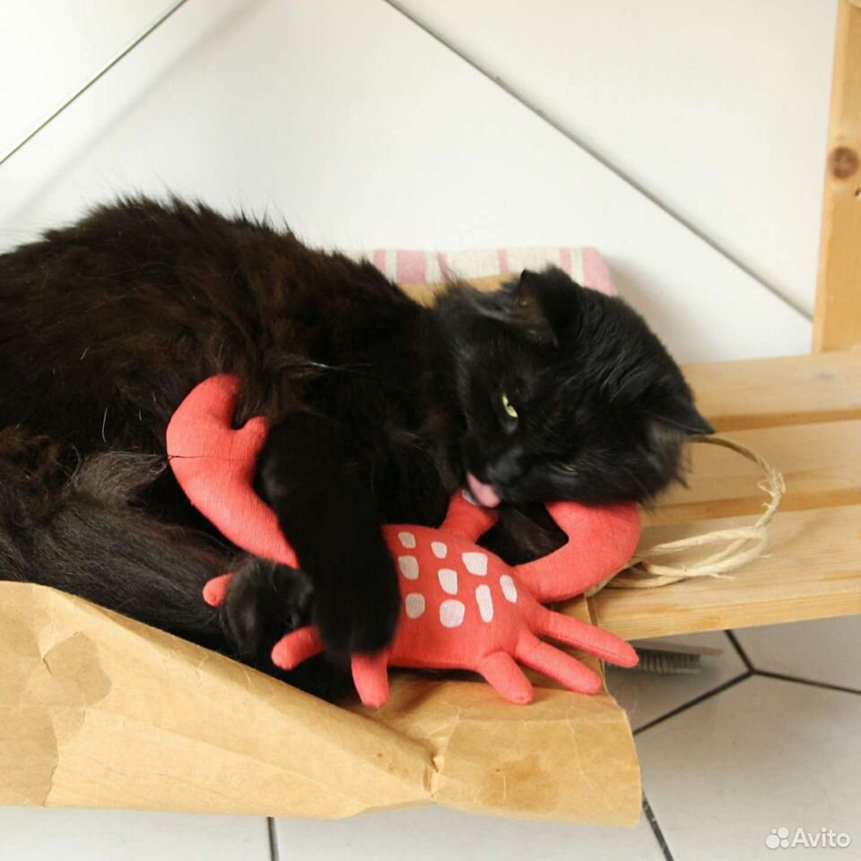 Кот Кубик