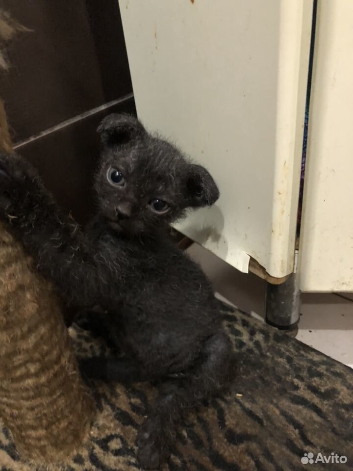 Украинский ливкой