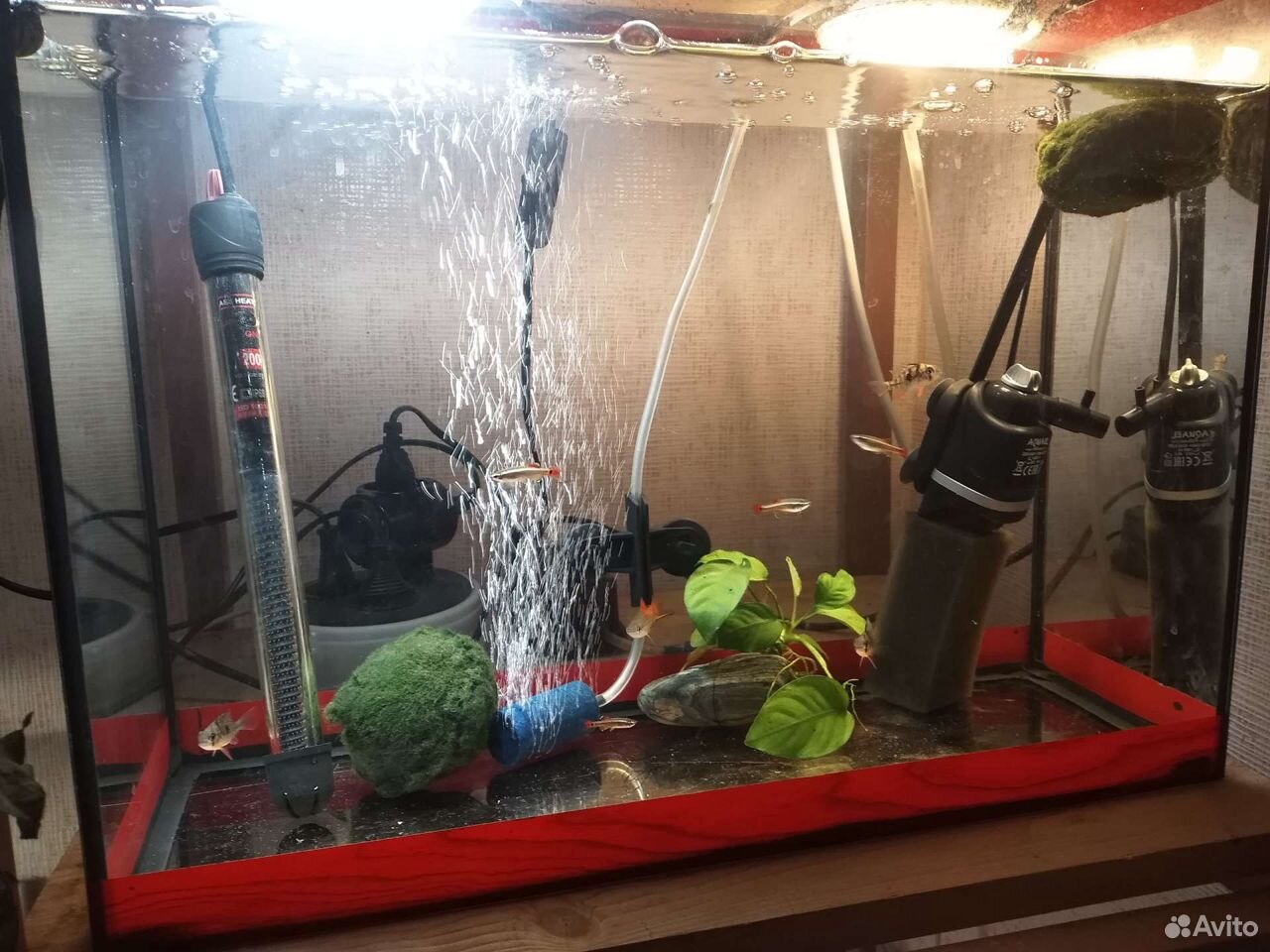 Аквариум 36л