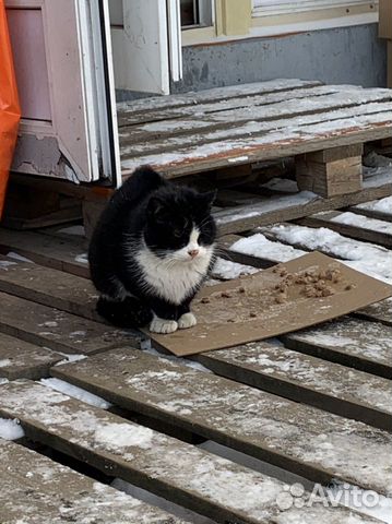 Читайте историю (малышка)