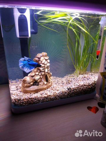 Аквариум 9л