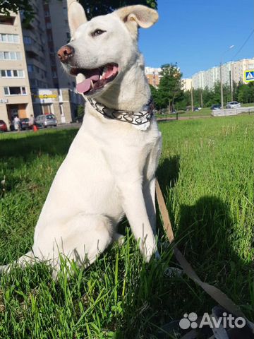 Познакомлюсь с девушкой