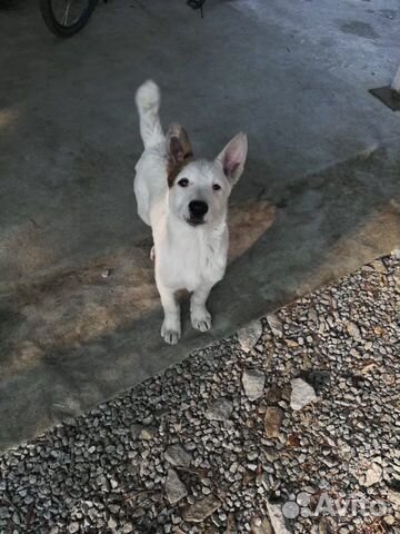 Когда инвалид не только человек