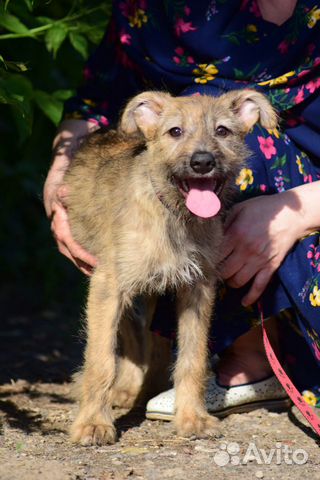 Веселый парнишка