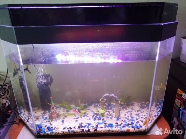 Аквариум с рыбками
