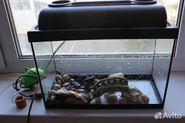 Аквариум + компрессор +декор