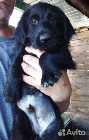 Малыши крепыши