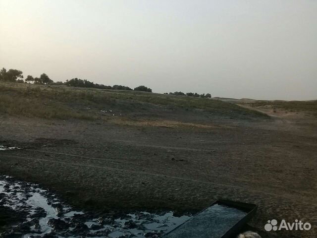 Шерсть овечья