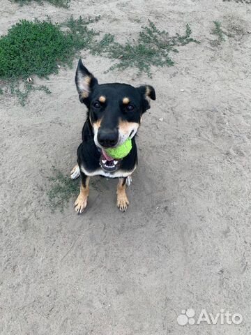 Славная милая девочка ищет семью которая не предас