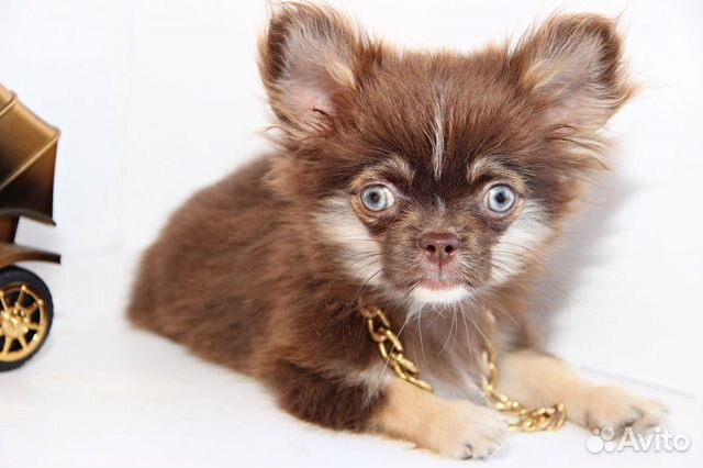 Супер малыш