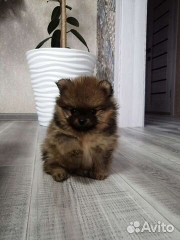 Самый лучший