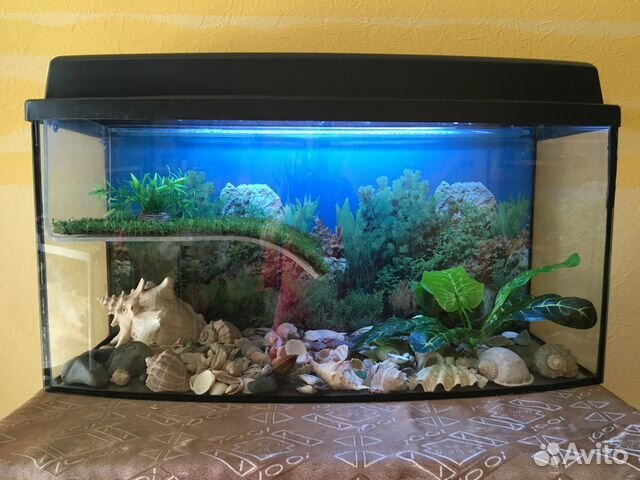 Террариум (аквариум) 80 л. с содержимым