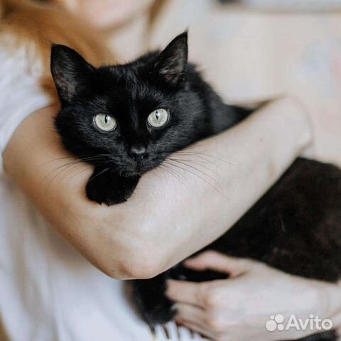 Уютная Шанечка