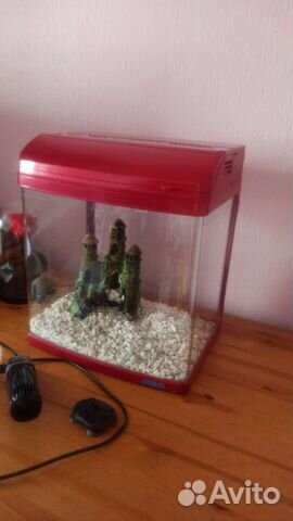 Аквариум