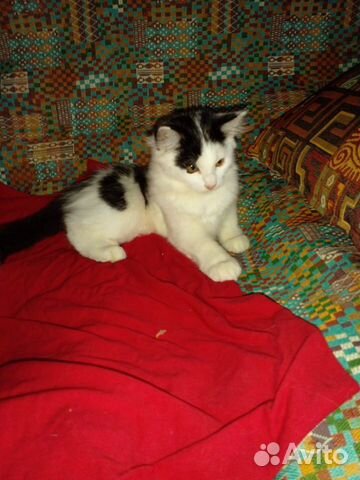 Очаровательная малышка беленькая умненькая в добры