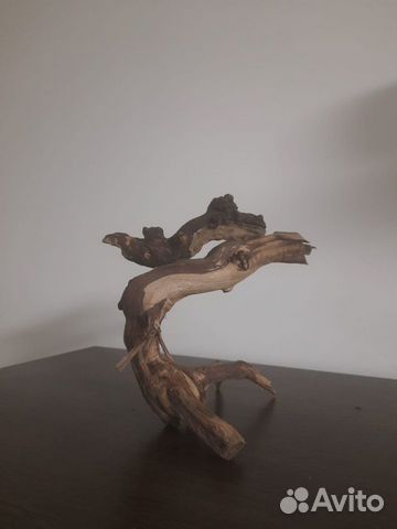 Виноградная лоза (для аквариума, для поделок)