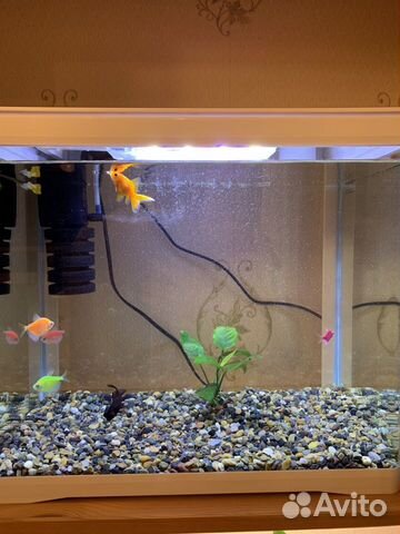 Аквариум 35 литров