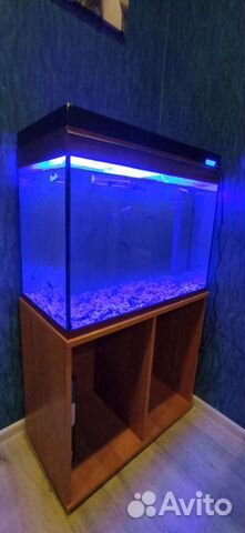 Аквариум с тумбой 120
