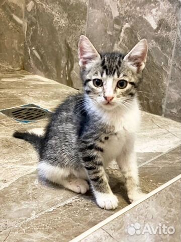 Семён Семёныч - класснючий крошка