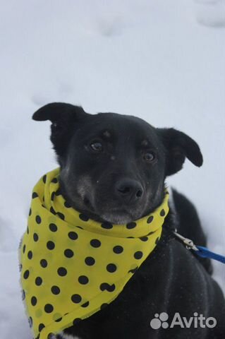 Ночка ищет маму с папой