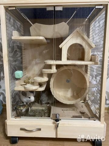 Шиншилла с клеткой