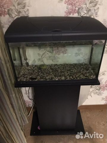 Аквариум 60 литров
