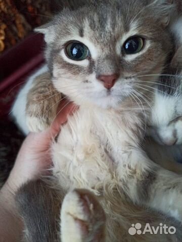 Девочка Белочка