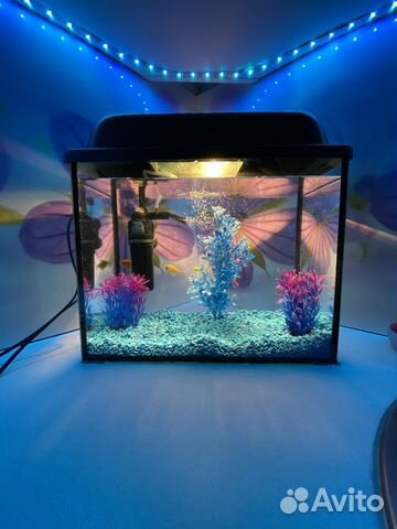 Аквариум с рыбками