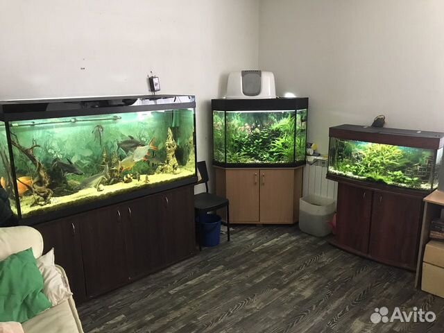 Аквариумы