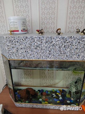 Аквариум
