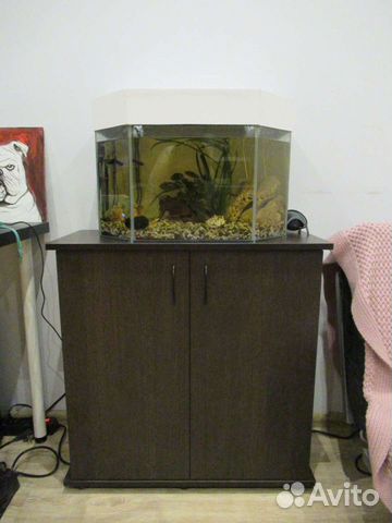 Аквариум целиком или по частям