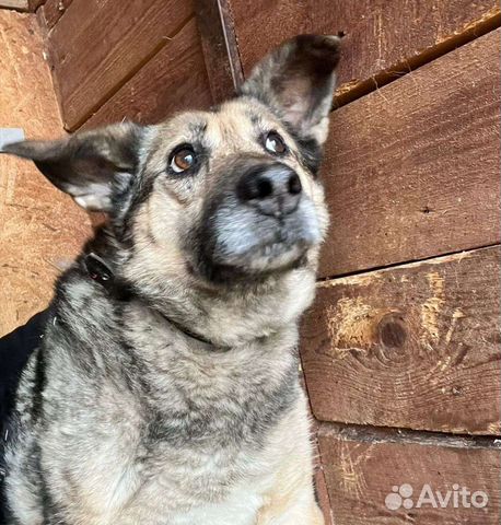 Боязливая и скромная Лидочка