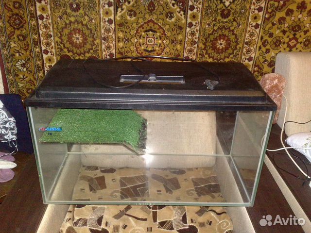 Черепашатник