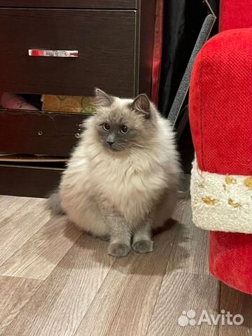 В ответственные руки